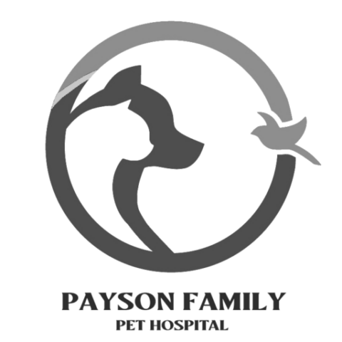 Best Veterinary Hospital In Payson, UT | Payson Family Pet Hospital
